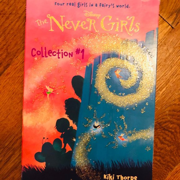 Other | The Never Girls Collection 1 First 4 Books | Poshmark